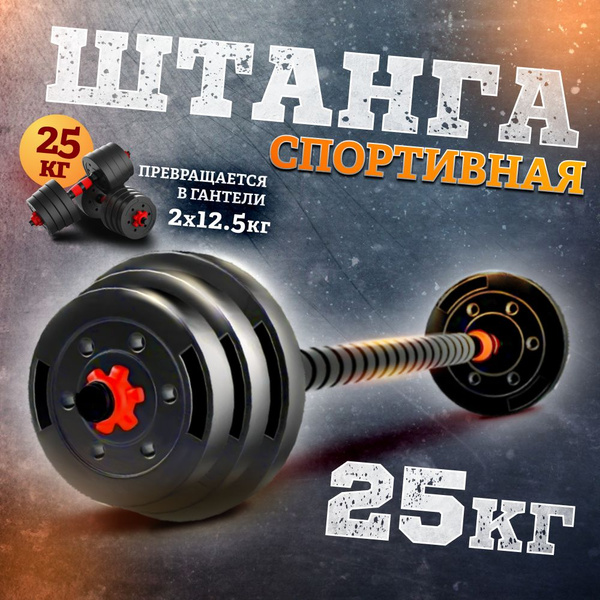Характеристики Штанга спортивная 25кг или гантели разборные 2шт по 12 ...