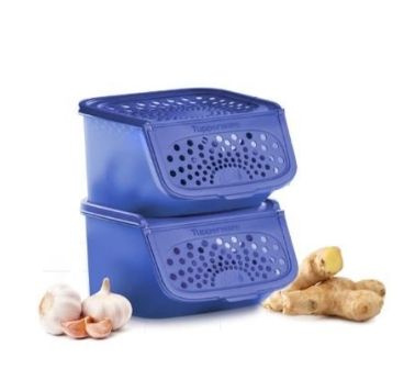 Контейнер пищевой Tupperware, 200*180*110, объем 2300 мл - купить по выгодной цене в интернет ...