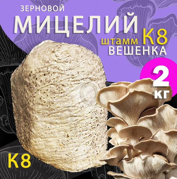 Мицелий грибов вешенка зерновой (штамм К8 / А8) - 2 кг. - купить по ...