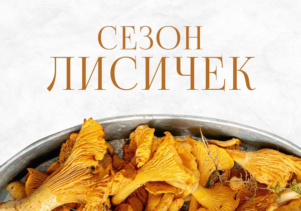 Грибы сушеные Лисички 60г. 1шт. Премиум. Из Заповедника. Сбор лето ...