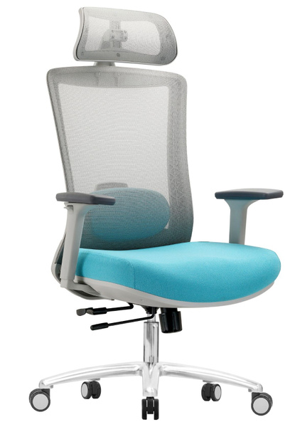 Кресло компьютерное EVOLUTION ERGO PRIME Sky Blue купить на OZON по ...