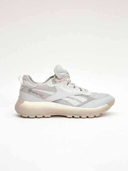 Кроссовки Reebok DMX TRAIL GTX - купить с доставкой по выгодным ценам в ...