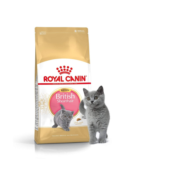Характеристики Royal Canin British для британских короткошерстных котят ...