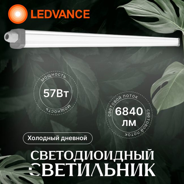 Светильник светодиодный 57Вт Eco Class Damp Proof Slim LEDVANCE - 1шт - купить с доставкой по ...