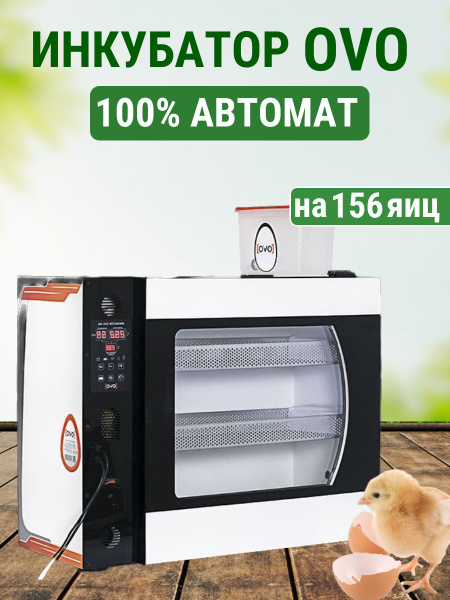 Инкубатор OVO на 156 яиц (100% автомат) купить на OZON по низкой цене в Беларуси, Минске, Гомеле ...