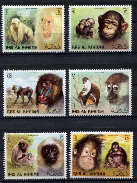 Рас-эль-Хайма-1972. Обезьяны. Серия из 6 марок. Негашеная купить на OZON по низкой цене (2010988014)