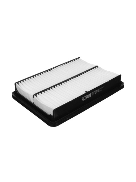 Фильтр воздушный двигателя FILTRON (AP107/10) купить на OZON по низкой ...
