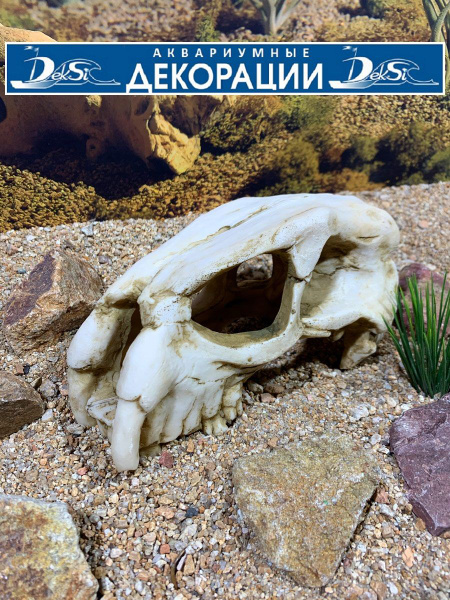 Декорация для аквариума череп Динозавра, Грот DEKSI 1001 купить на OZON по низкой цене (166653991)