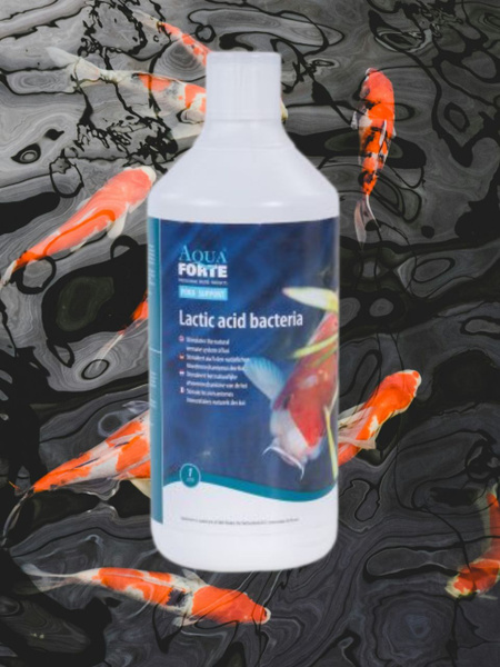 Препарат для лечения прудовых рыб AquaForte Lactic acid bacteria 1,0 L ...