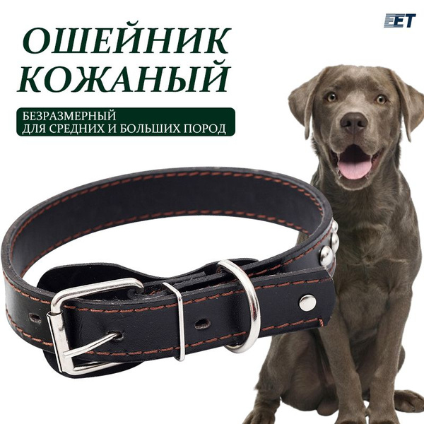 Ошейник кожаный крепкий для собак средних и больших пород,прочный ...