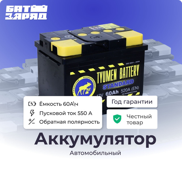 Аккумулятор автомобильный Tyumen Battery 6CT-STANDARD купить по ...