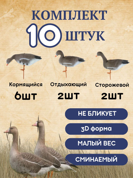 Чучела гусей для охоты (10шт) Белолобые сминаемые на ножке (XPE ...