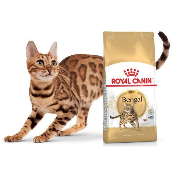 ROYAL CANIN BENGAL ADULT для взрослых бенгальских кошек (2 кг) - купить ...
