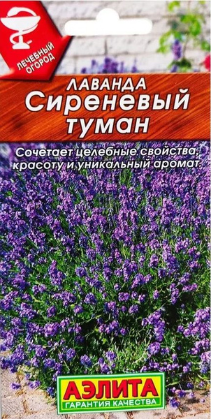 Лаванда Аэлита томат-огурец_Лаванда Сиреневый Туман - купить по ...