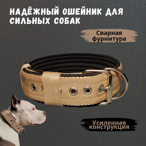 Характеристики Ошейник широкий на пряжке усиленный для средних и