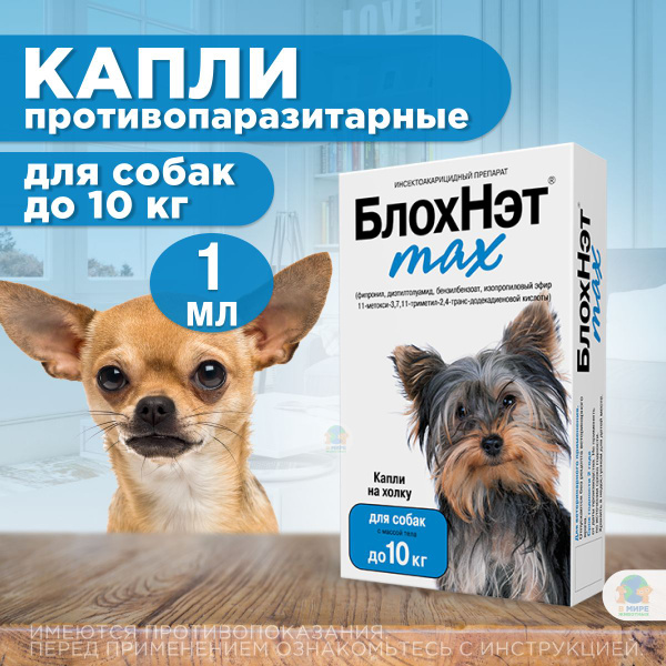 Капли БлохНэт MAX ( Астрафарм ) на холку для собак до 10 кг от блох ...