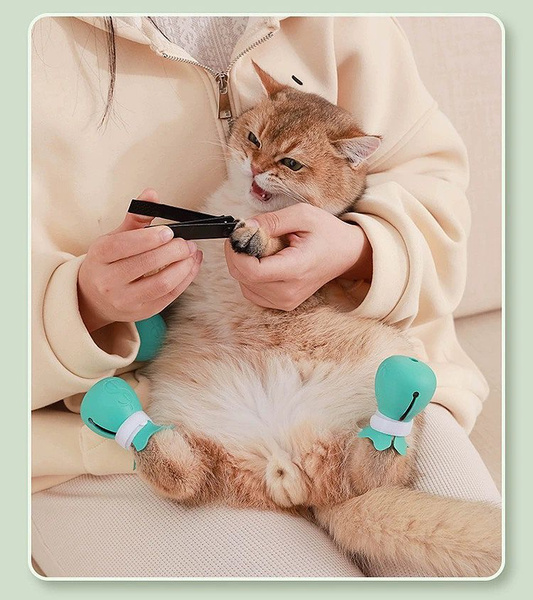 антицарапки для кошек, чехлы для груминга и купания - мешок денег ...