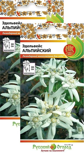 Эдельвейс, Многолетники для альпийской горки НК-Русский огород ...