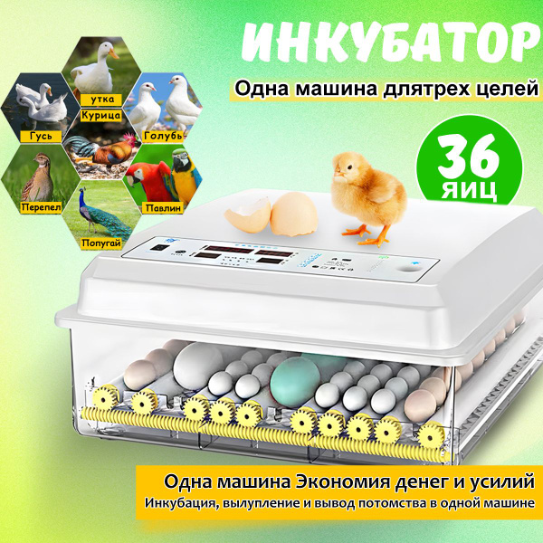 Инкубатор для яиц автоматический терморегулятором, автоповоротом на 36 ...