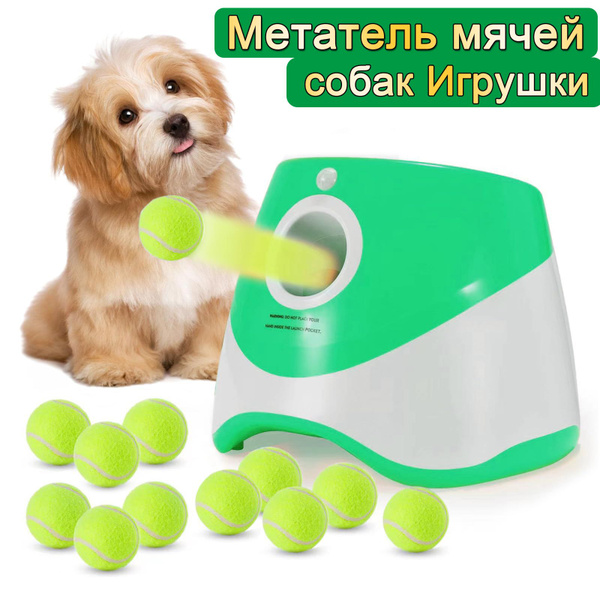 Метатель мячей;Для собак Игрушки - купить с доставкой по выгодным ценам ...