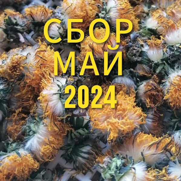 одуванчик - купить с доставкой по выгодным ценам в интернет-магазине ...
