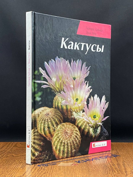 Кактусы - купить с доставкой по выгодным ценам в интернет-магазине OZON ...