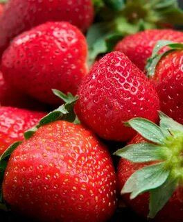 Земляника садовая Кори - купить с доставкой по выгодным ценам в ...