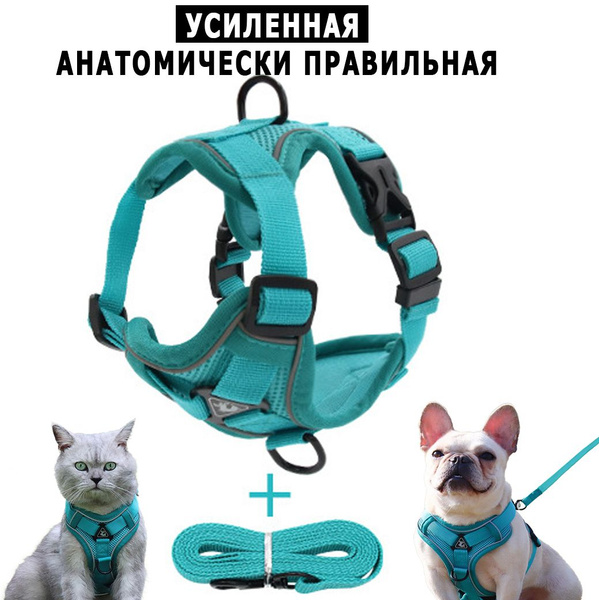 Шлейка для собак мелких и средних пород - купить с доставкой по ...