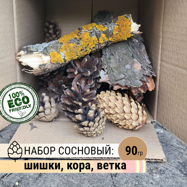 Шишки сосновые для декора, для поделок, для розжига самовара - купить с ...