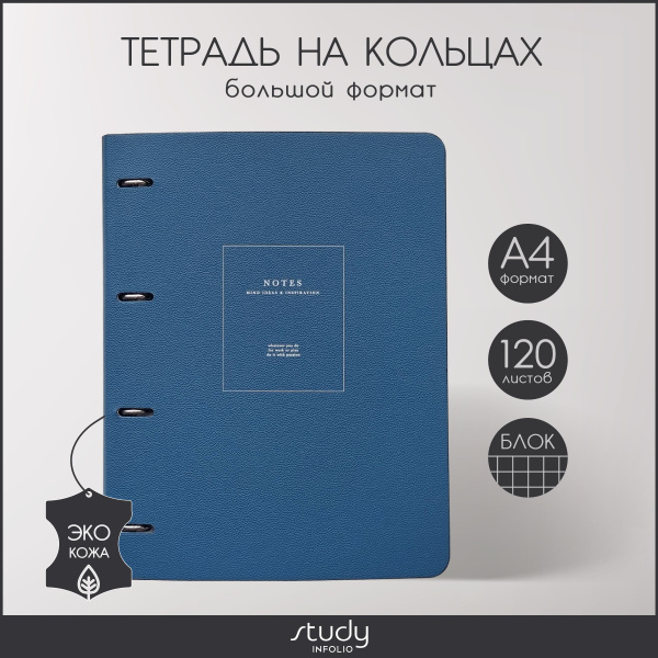 Тетрадь на кольцах общая Infolio Study "Notes", А4 на 120 листов в ...