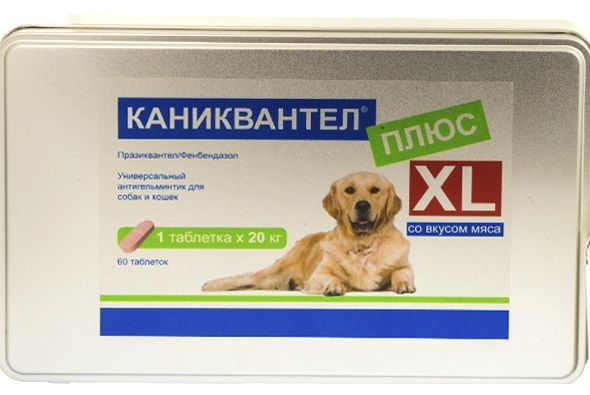 Каниквантел плюс XL антигельминтик для крупных собак, 1 таблетка/20 кг ...