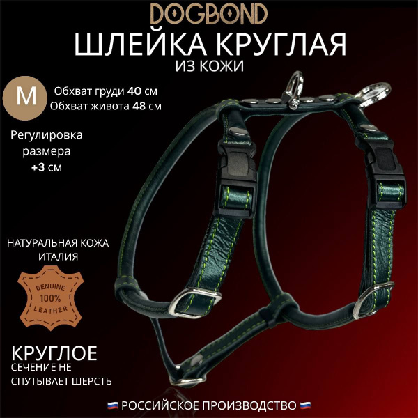 Шлейка круглая для шпица из кожи размер М зеленый купить на OZON по ...