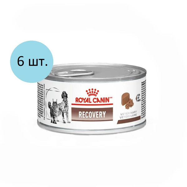 Лечебные консервы Royal Canin (Роял Канин) Recovery для кошек и собак в ...