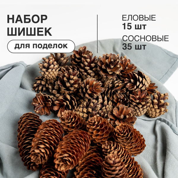 Набор сосновых и еловых шишек для поделок декора (35, 15 шт) - купить с ...