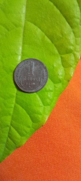 Монета 1 копейка 1924 СССР купить на OZON по низкой цене (1719869104)