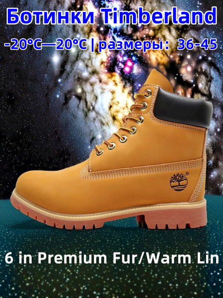 Ботинки Timberland 6-inch Warm Lined купить на OZON по низкой цене (1728200338)