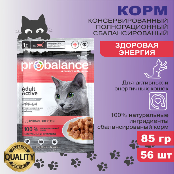 Probalance д/кошек Adult Active, для активных кошек, 56 штук по 85 г. купить на OZON по низкой ...