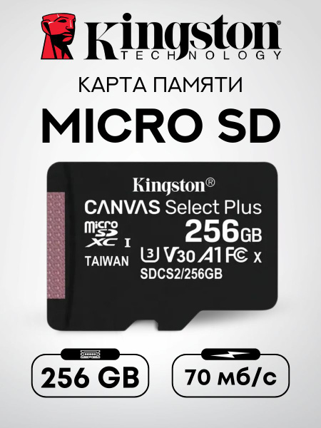 Карта памяти microSD 256 ГБ / microSDXC Canvas 256 ГБ / Карта ...