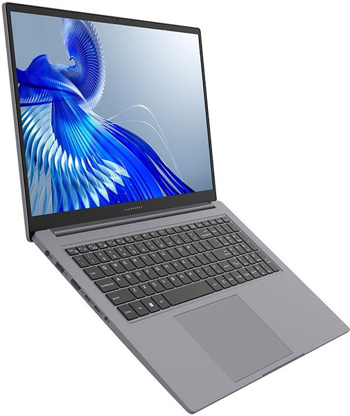 Ноутбук MAIBENBEN, 17.3, P725, Intel Core i5-12450H, 16 ГБ, Intel UHD Graphics, серый купить c ...