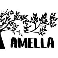 AMELLA — купить товары AMELLA в интернет-магазине OZON