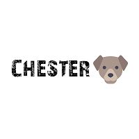 CHESTER — купить товары CHESTER в интернет-магазине OZON