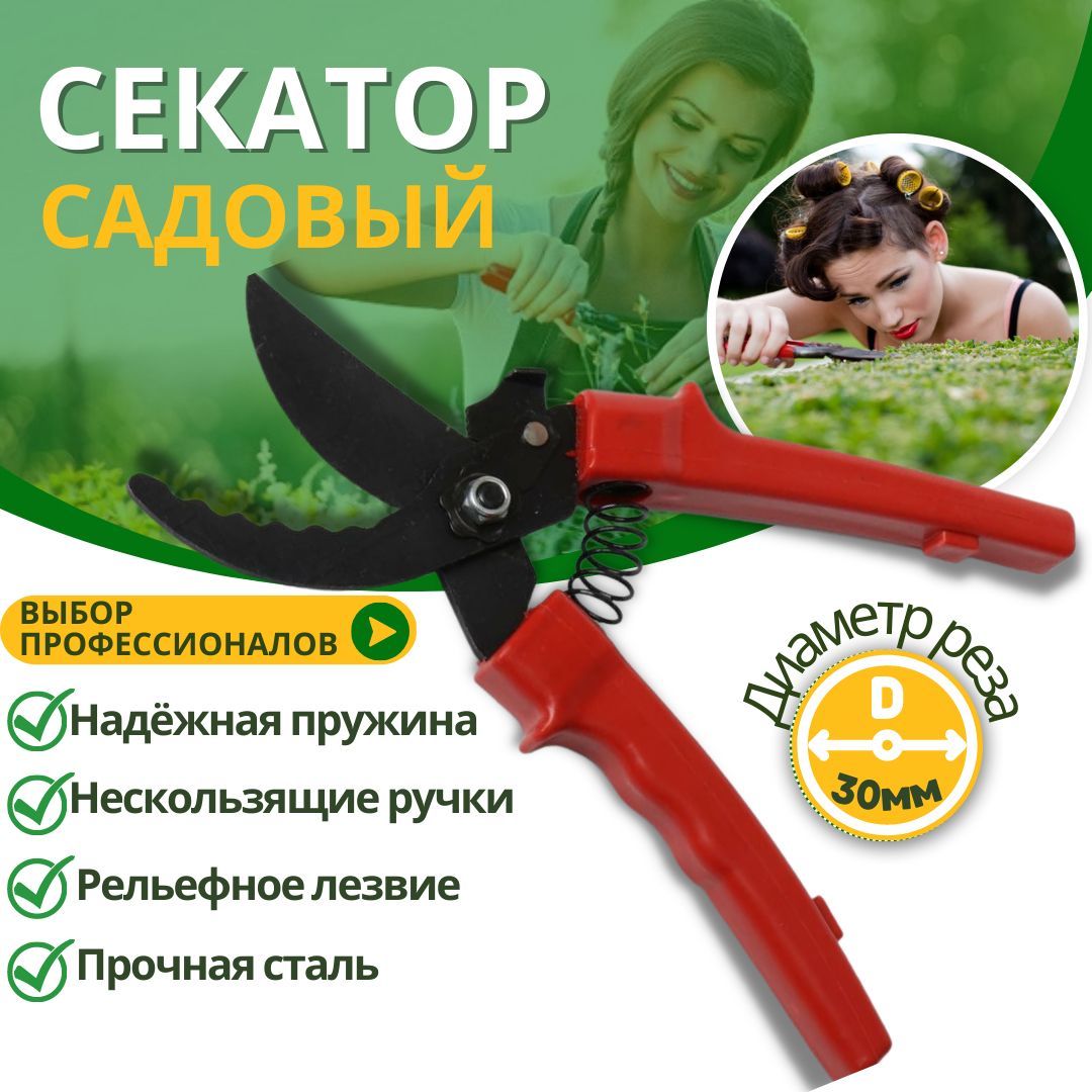 Ленточное Точило – купить в интернет-магазине OZON по выгодной цене