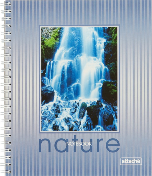 Тетрадь общая Attache 96 листов, клетка, А5, металлический гребень, лак - купить с доставкой по ...