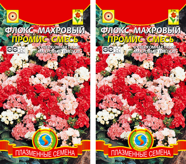 Флоксы однолетние Плазменные семена Phlox terry Promise - купить по ...
