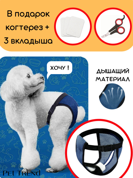 Трусы для животных: для собак и кошек во время течки / при течке ...