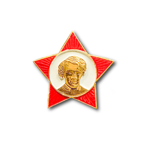 Знак ( Значок ) Нагрудный Октябренка (Золотистый / Пимса) - купить с ...