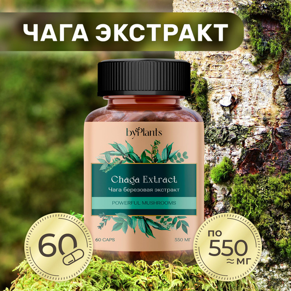 Экстракт Чаги в капсулах 60 шт. - купить с доставкой по выгодным ценам ...