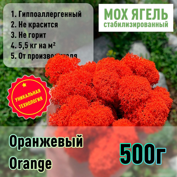 Russian Moss Стабилизированный мох Мох, 7.5 см, 500 гр, 1 шт купить на ...