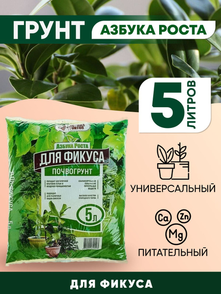 Грунт для фикусов и пальм 5 литров - купить по низкой цене в интернет ...