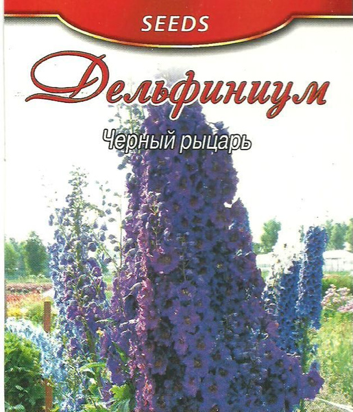 Многолетники для альпийской горки Многолетники_синий - купить по ...